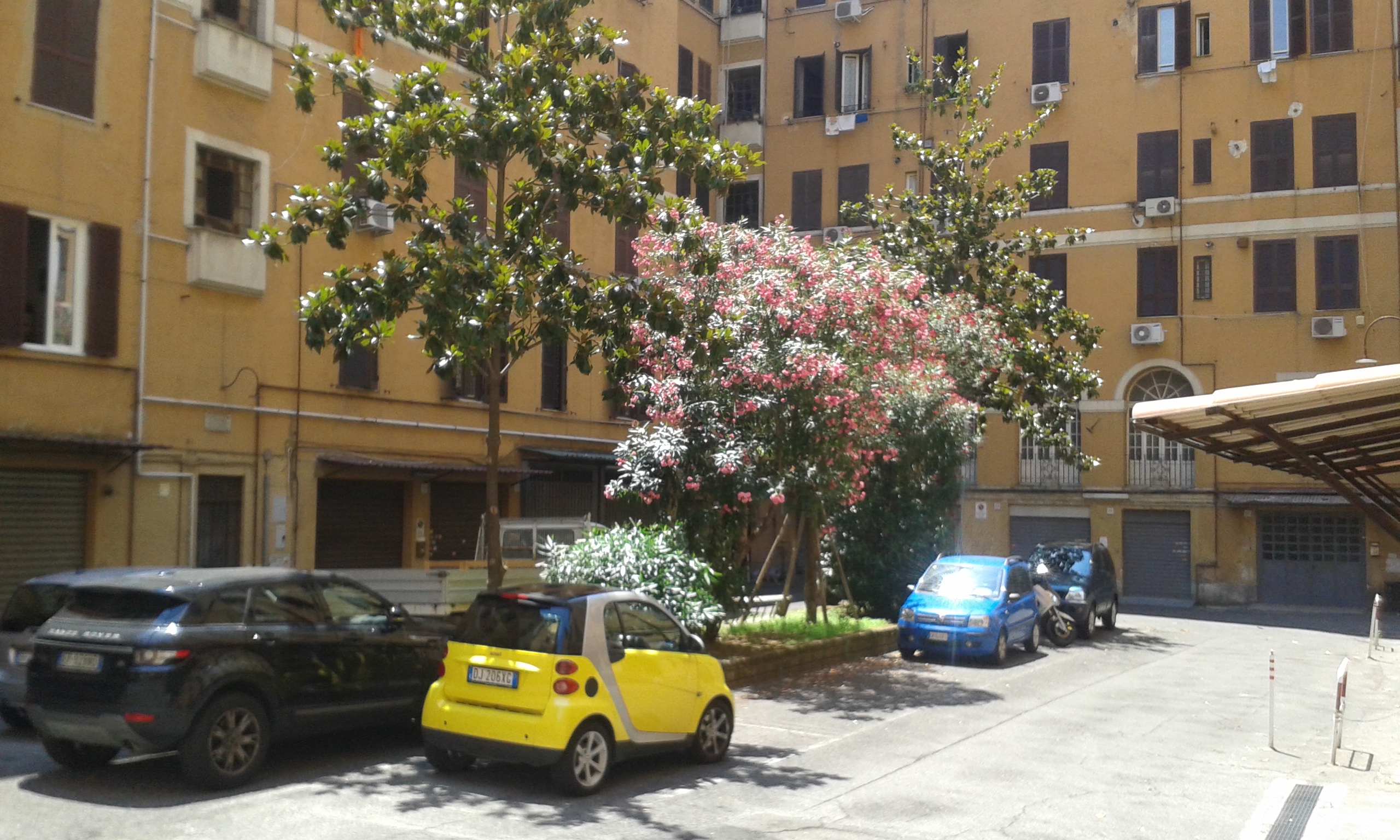 Studio – ANITA MORRISON TAYLOR